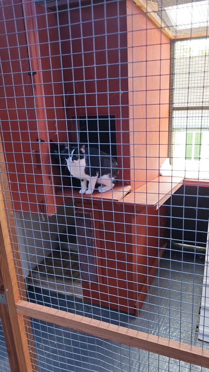 Cattery - Ryslip Group Ltd